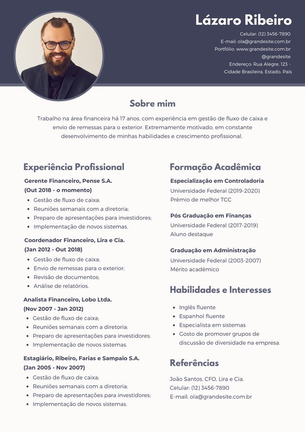 Resumo Profissional Resumo Profissional